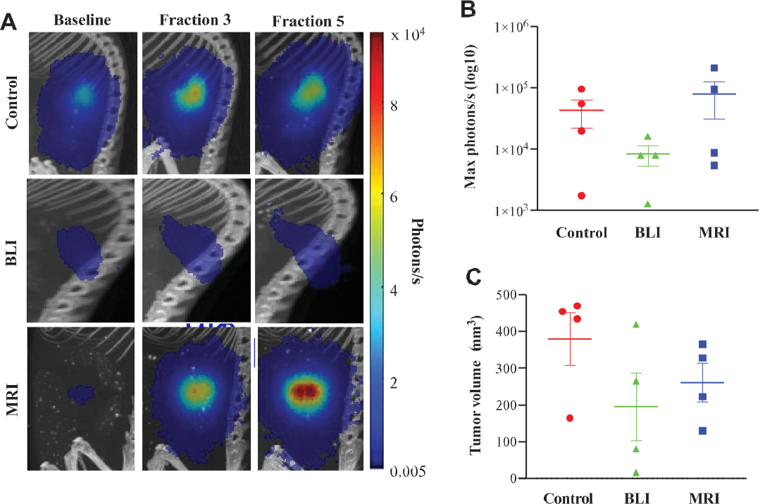 Assessing the Accuracy of Bioluminescence Image-Guided Stereotactic Body Radiation Therapy of ...